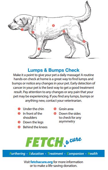 lumps bumps check | FETCH a Cure