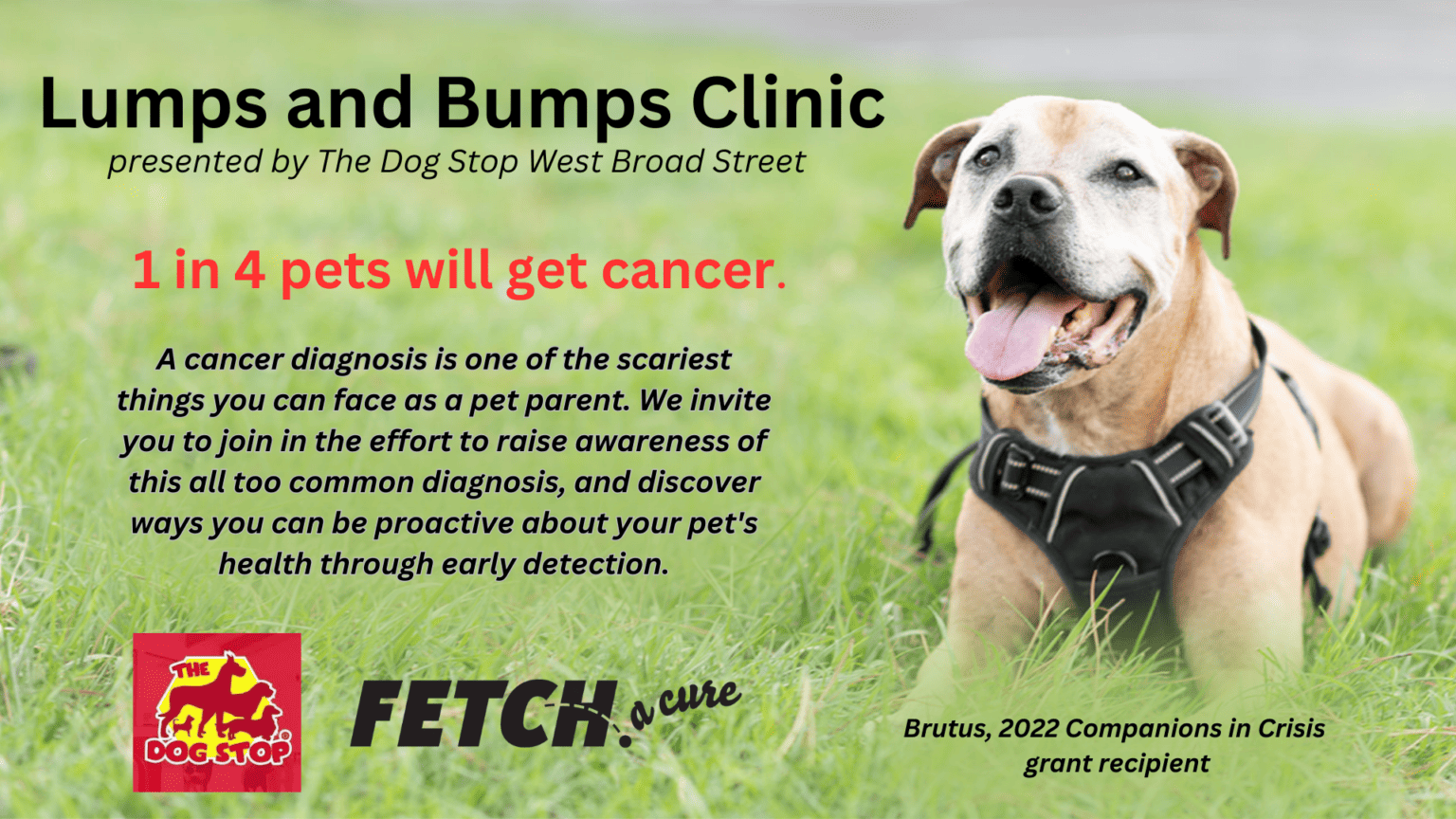 Lumps and Bumps Clinic Presented by The Dog Stop West Broad Street ...